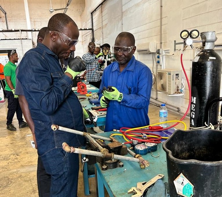 African Francophone RAC Experts Receive Training and Certification in F ...